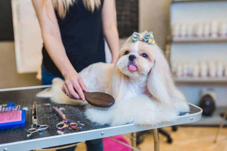 Complete Your Dog Grooming Kit: Essential Dog Grooming Accessories