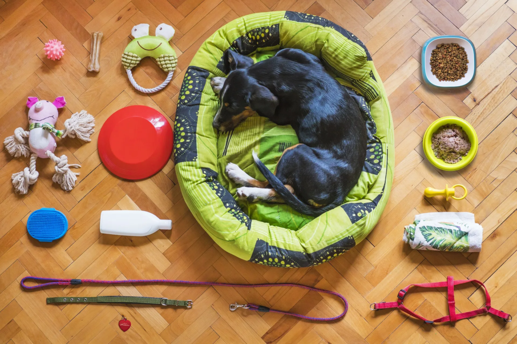 Top 5 Must-Have Items for Every Dog Owner
